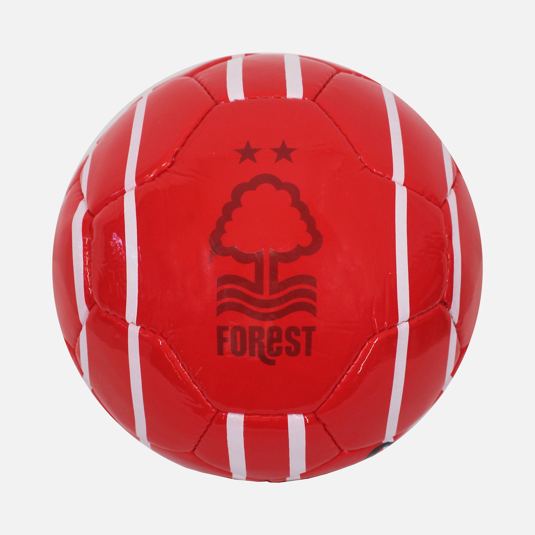 Squad Signed Nottingham Forest Football Ball [12 Autographs]