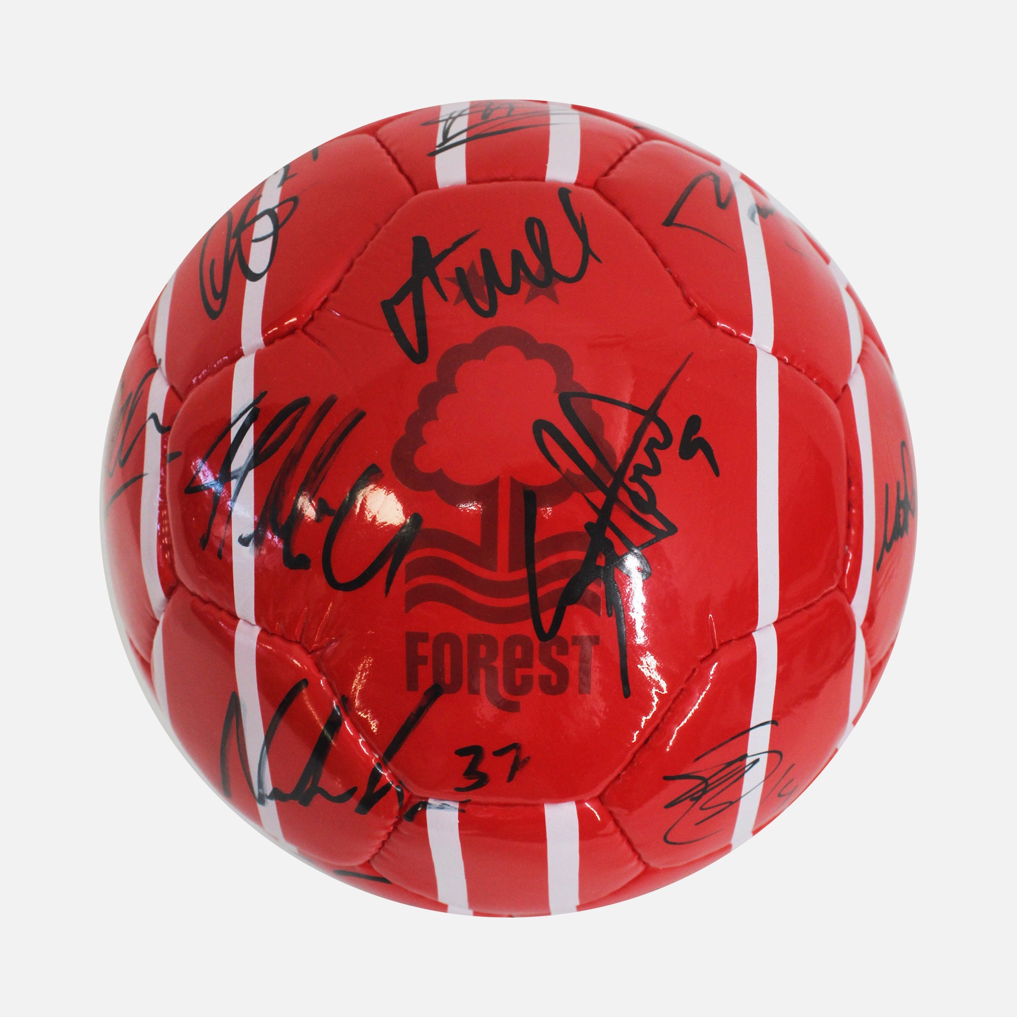 Squad Signed Nottingham Forest Football Ball [12 Autographs]
